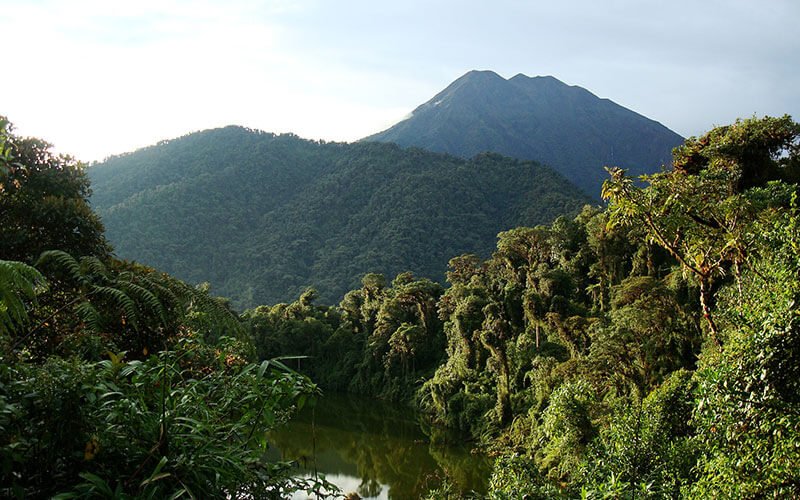 Sumaco Napo Galera National Park | Saga Tevé